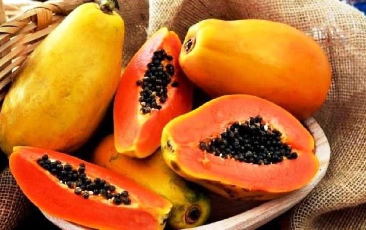 Mamão: 9 benefícios dessa fruta cheia de nutrientes - Vale do Itaunas